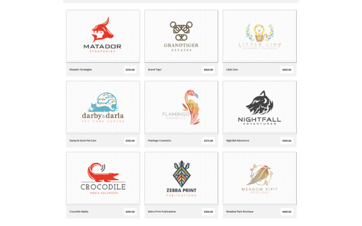 How to choose a business model for your digital product store
