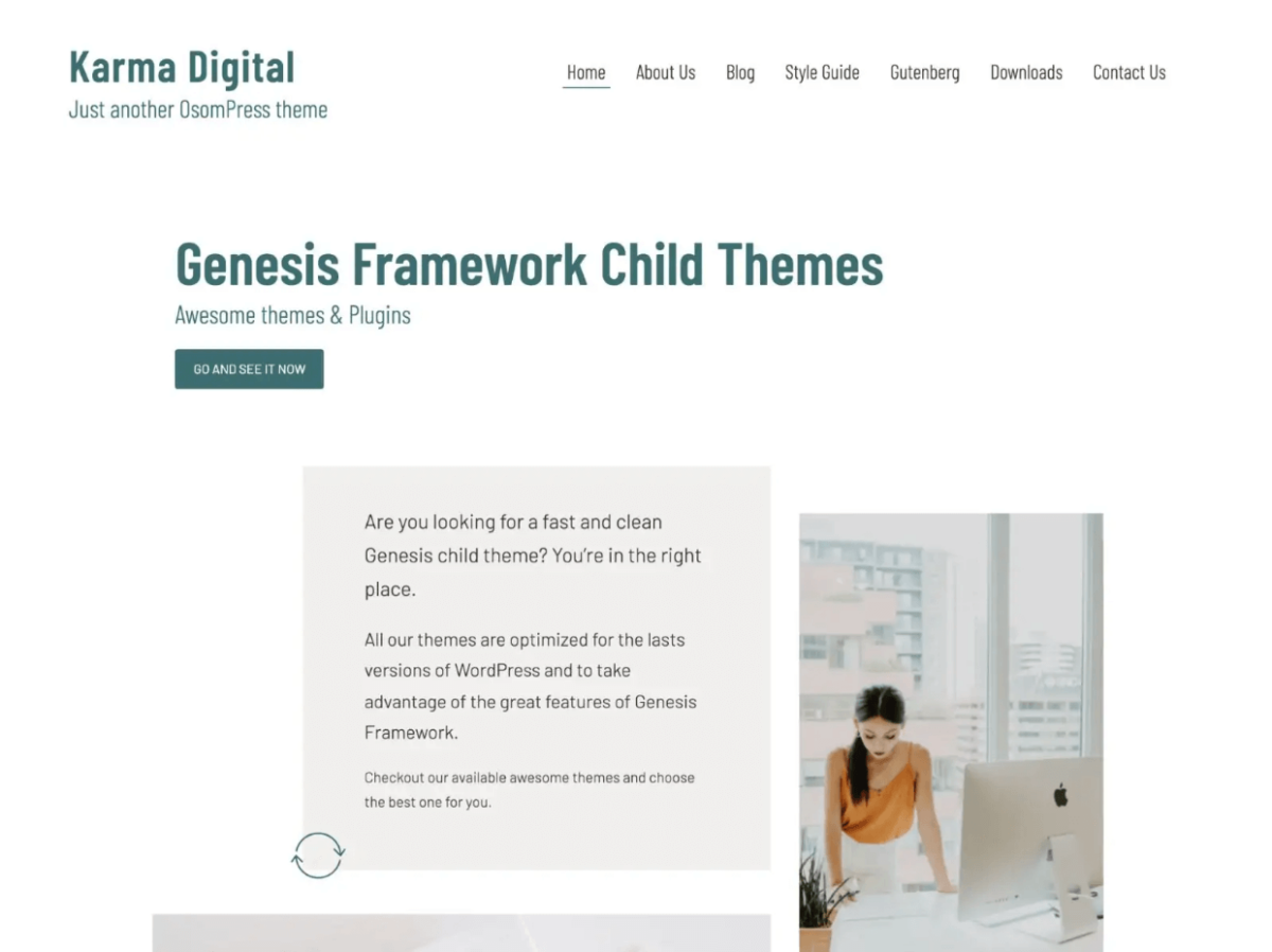 7 WordPress Themes To Make Your Digital Store Look Amazing