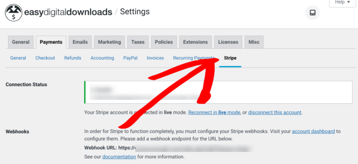 How to Use the Stripe Payment Element Feature in WordPress