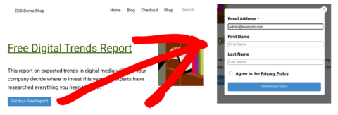 How to Create & Offer Free Digital Downloads in WordPress