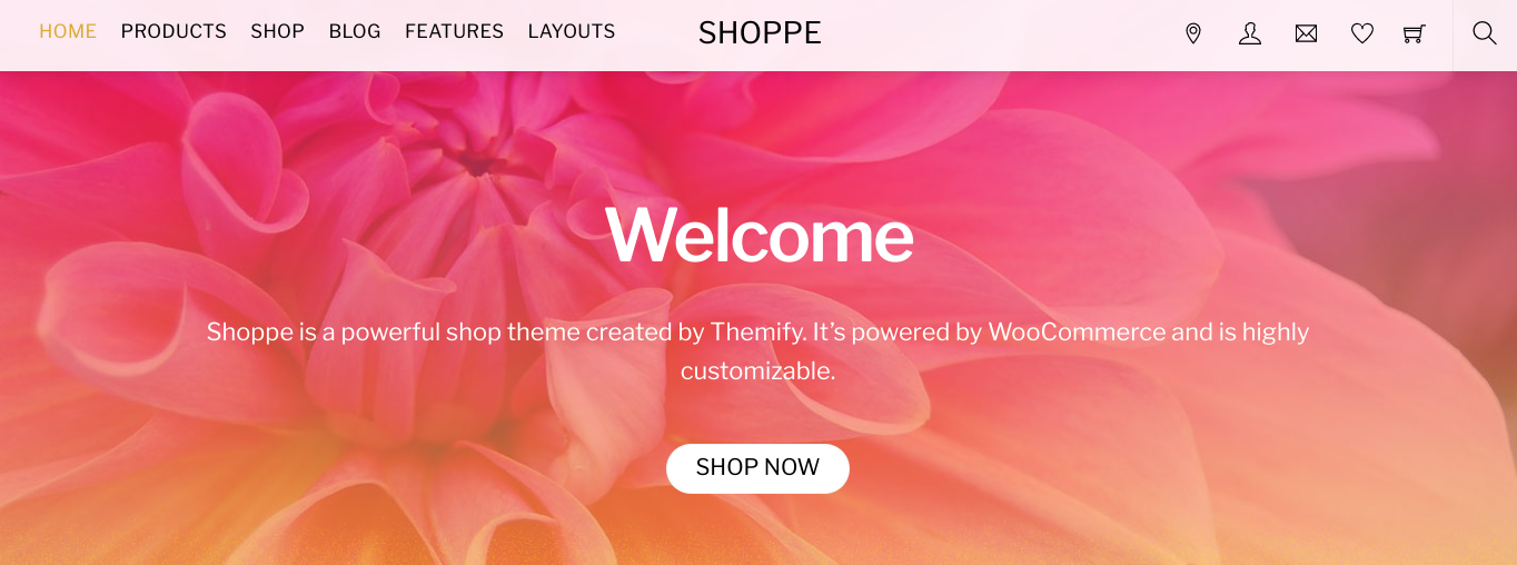13+ Best WordPress eCommerce Themes (Free and Paid)