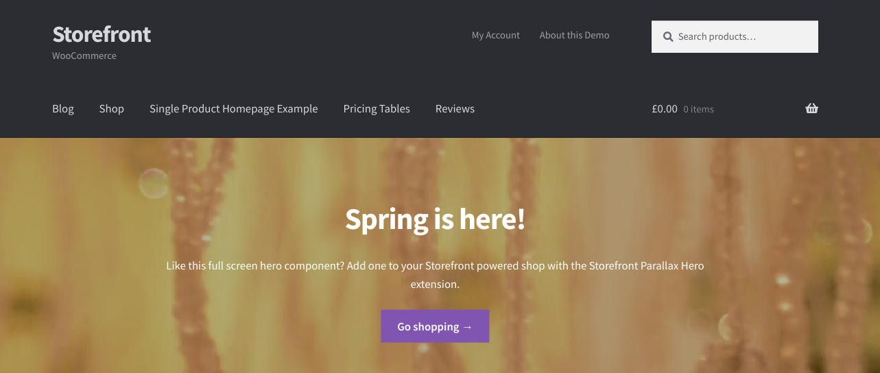 13+ Best WordPress eCommerce Themes (Free and Paid)