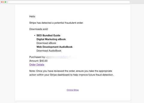How to Use Stripe Early Fraud Warnings to Protect Your Store