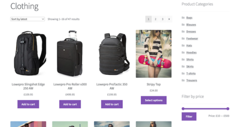 13+ Best WordPress eCommerce Themes (Free and Paid)