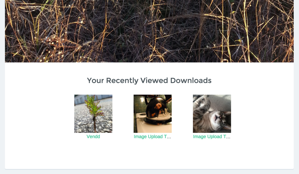 Recently Viewed Items – Easy Digital Downloads