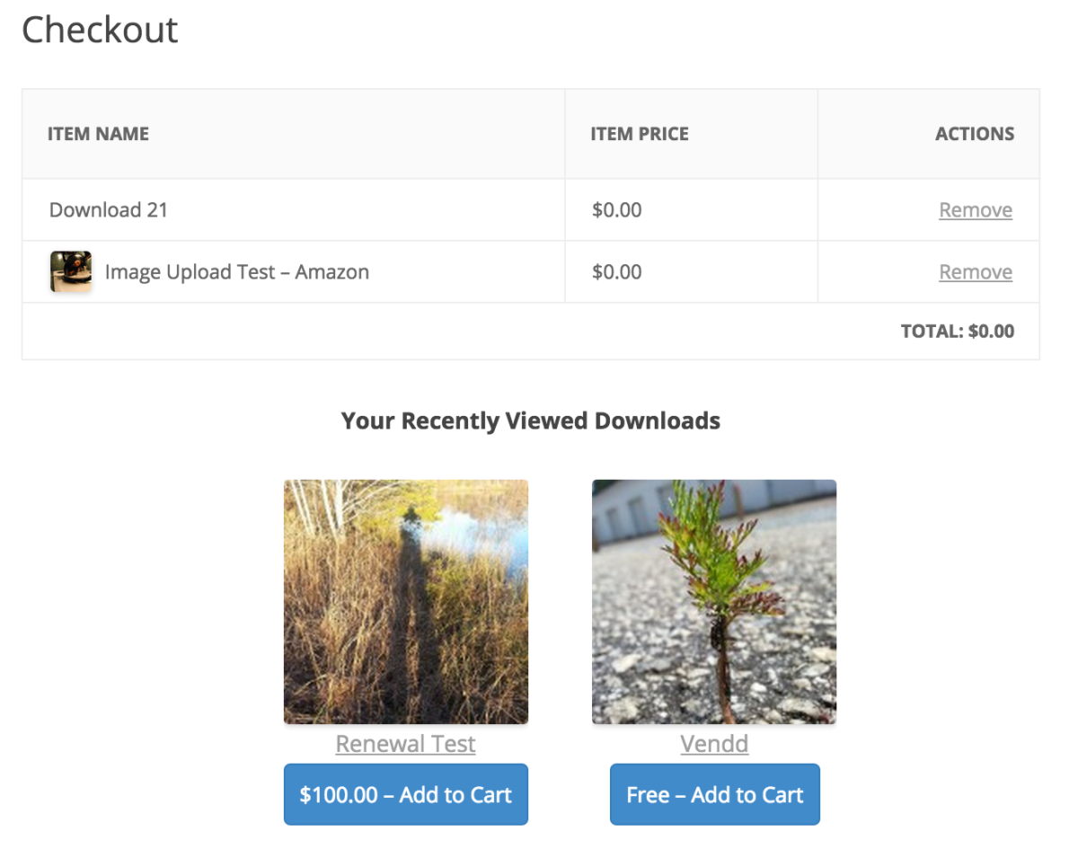 Recently Viewed Items – Easy Digital Downloads