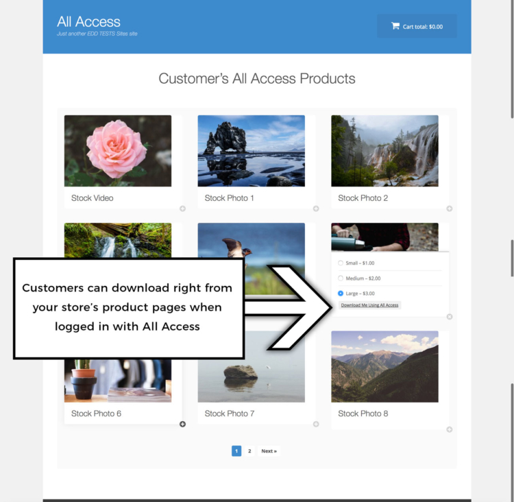 All Access – Easy Digital Downloads
